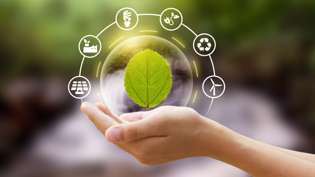 Sustainability Consulting Esgwise